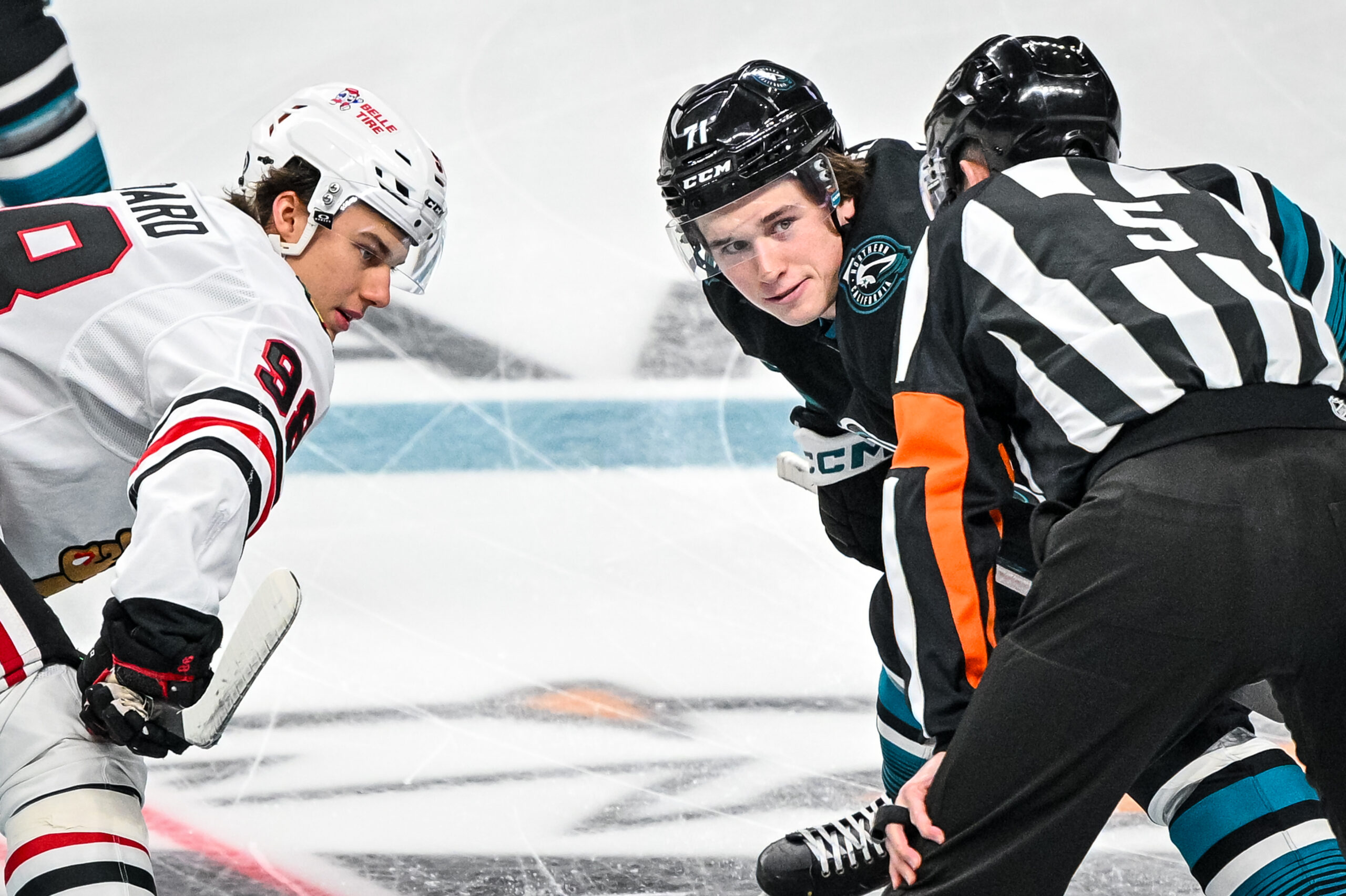 Report: Sharks Celebrini Has 'Inside Track' Over Bedard To Make Team Canada